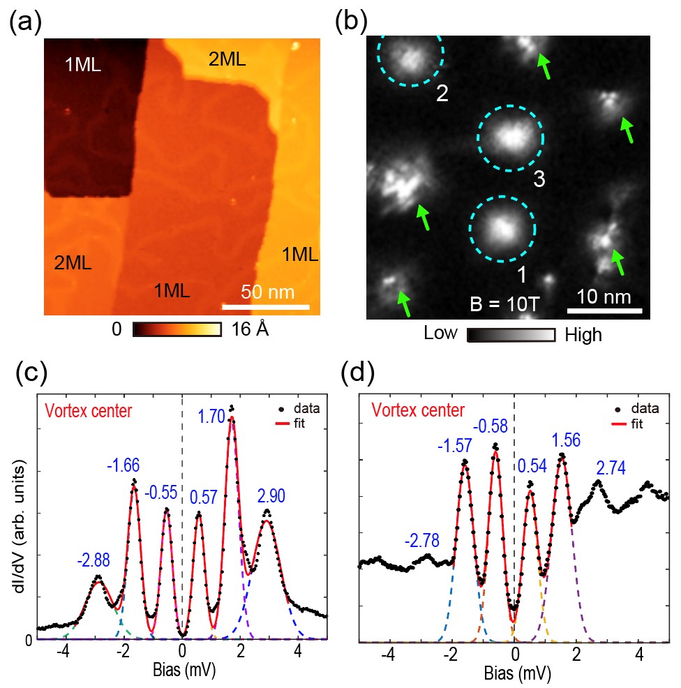 封东来张童课题组单层FeSe/SrTiO3薄膜磁通涡旋中心的分立束缚态研究成果